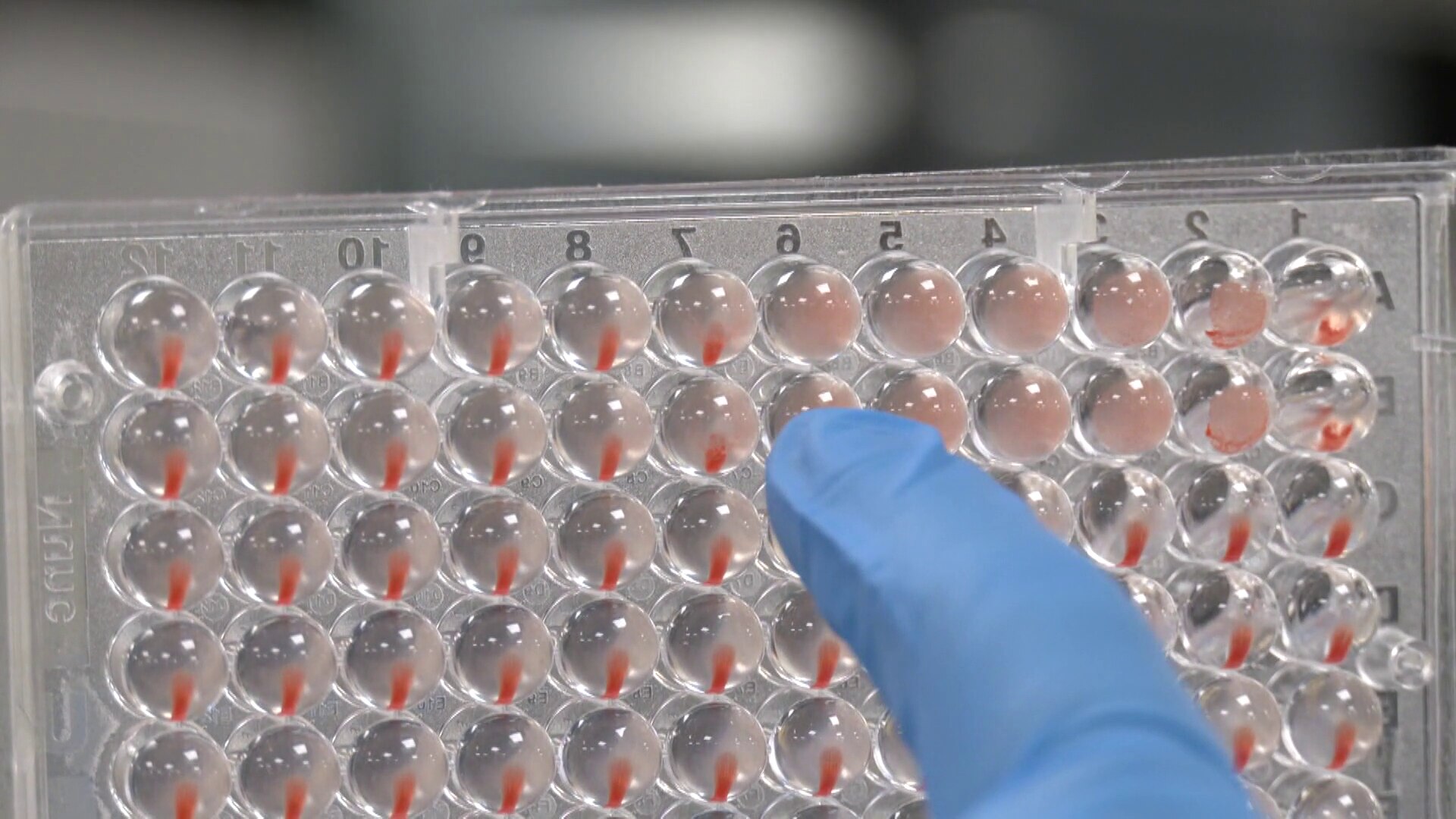 Samples of H5N1 in a laboratory. - ABC News