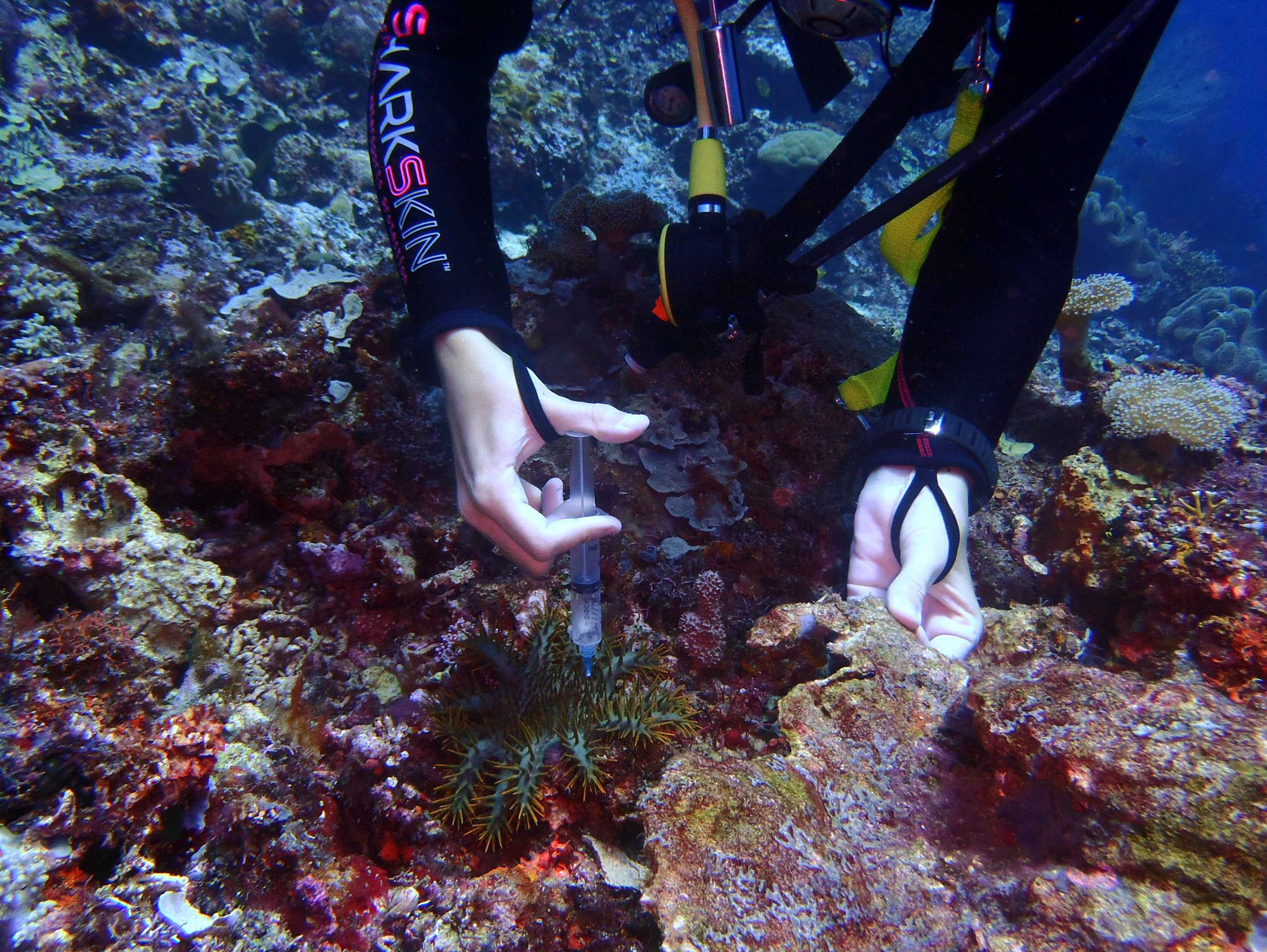 Robin McConchie - ABC News