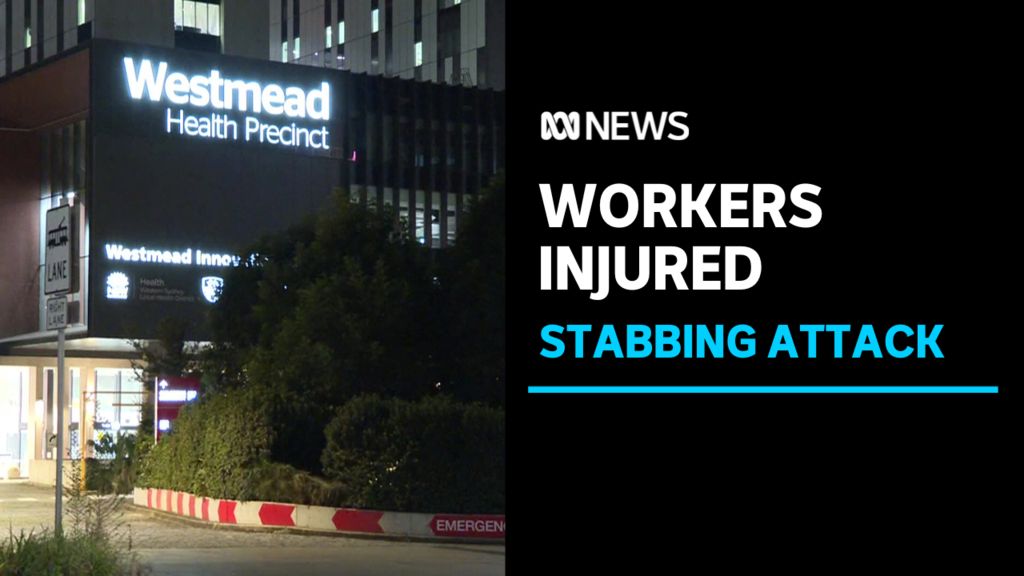 Top stories on ABC News - ABC News