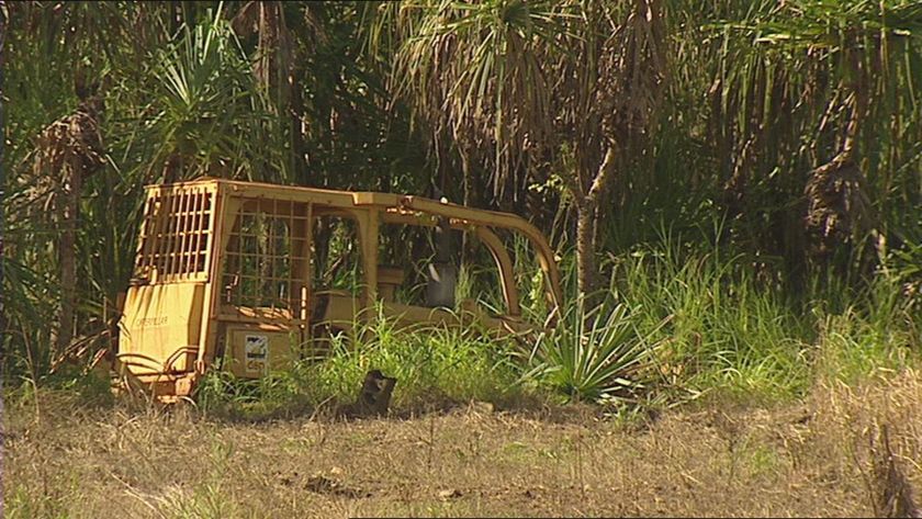 Police hunt Darwin bulldozer rampage vandals - ABC News