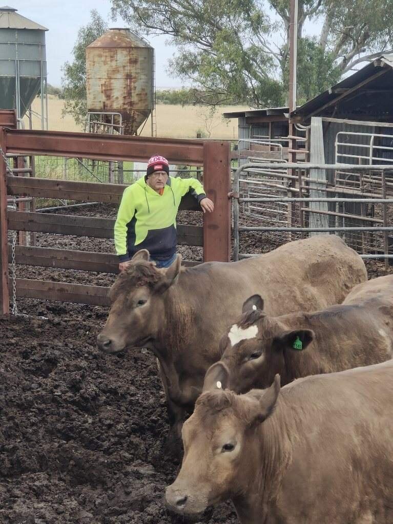 Napperby farmer Jamie Macdonald battles to find cattle lead ...
