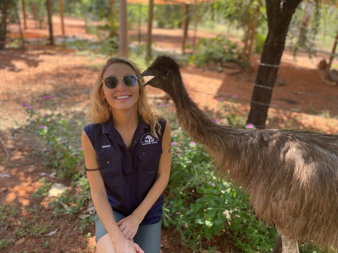 Bushy the Kimberley emu lives the high life at Derby animal sanctuary ...