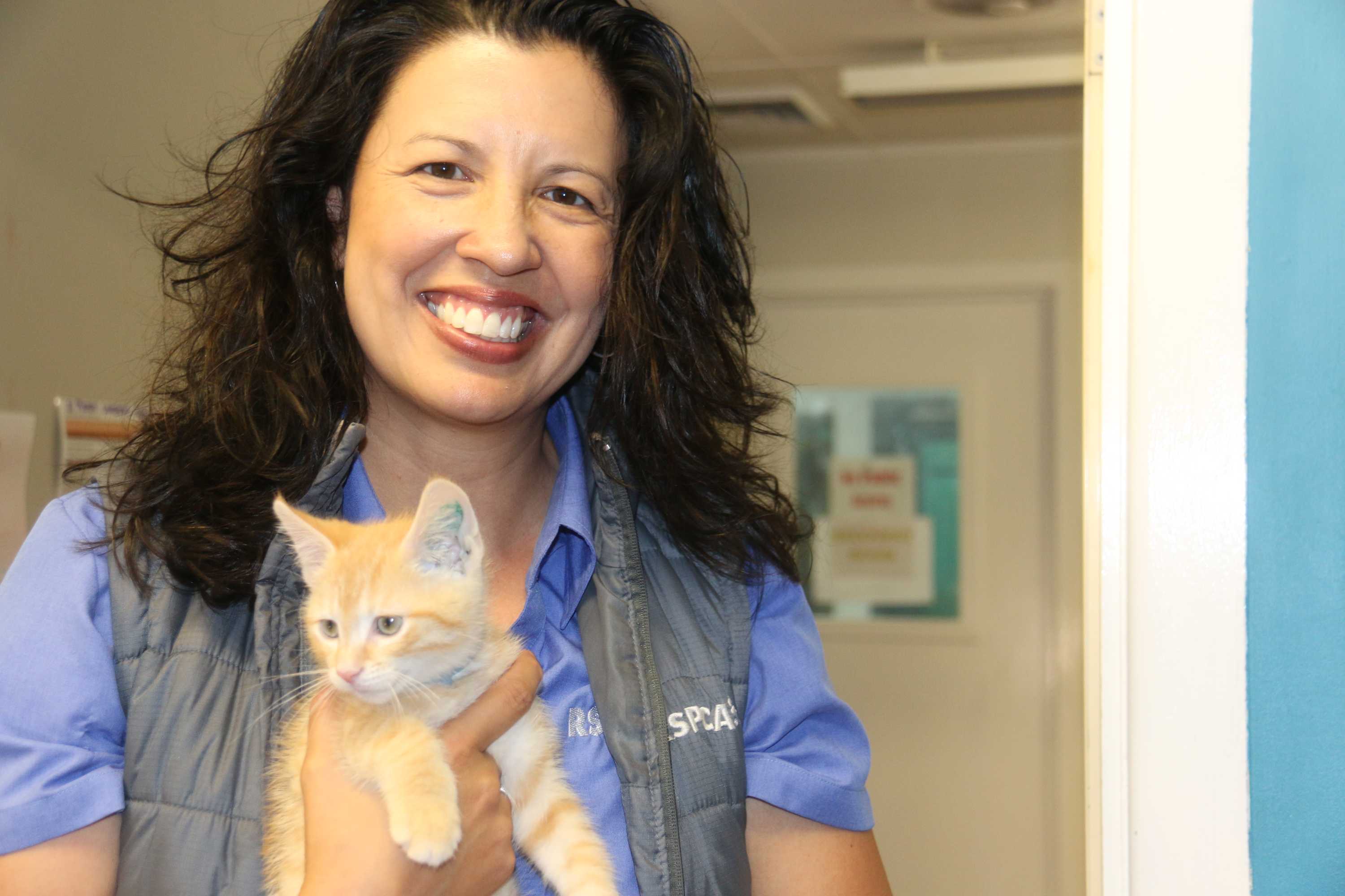 Is there a shortage of vets in Canberra? ACT RSPCA has spent 6 months ...