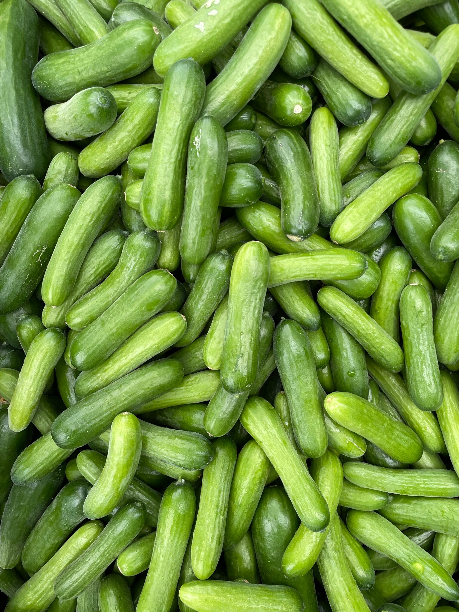 Harvest gets smart as farmers turn to digital trackers to boost yield ...