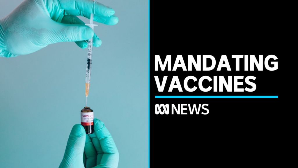 Some organisations and sectors are mandating the COVID-19 vaccine - ABC ...