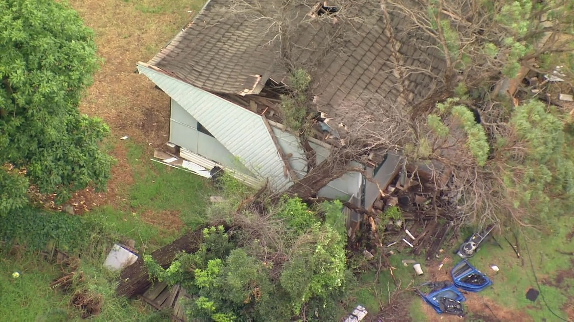 Sydney lashed by intense rainfall that downed trees and powerlines, and ...