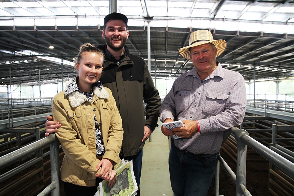 Casino agents reject council agreement as cattle sale dispute continues ...