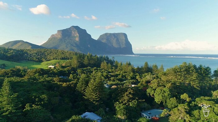 The Where and What of Howe - Gardening Australia