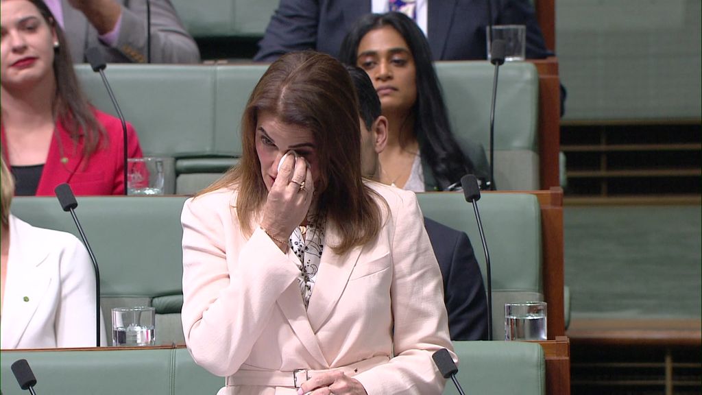 Labor MP Ali France pays tribute to her late son - ABC News