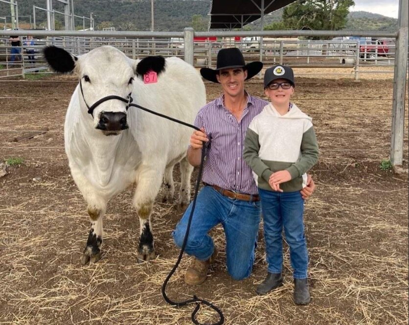 Heartbreaker heifer breaks world record at Speckle Park sale - ABC listen