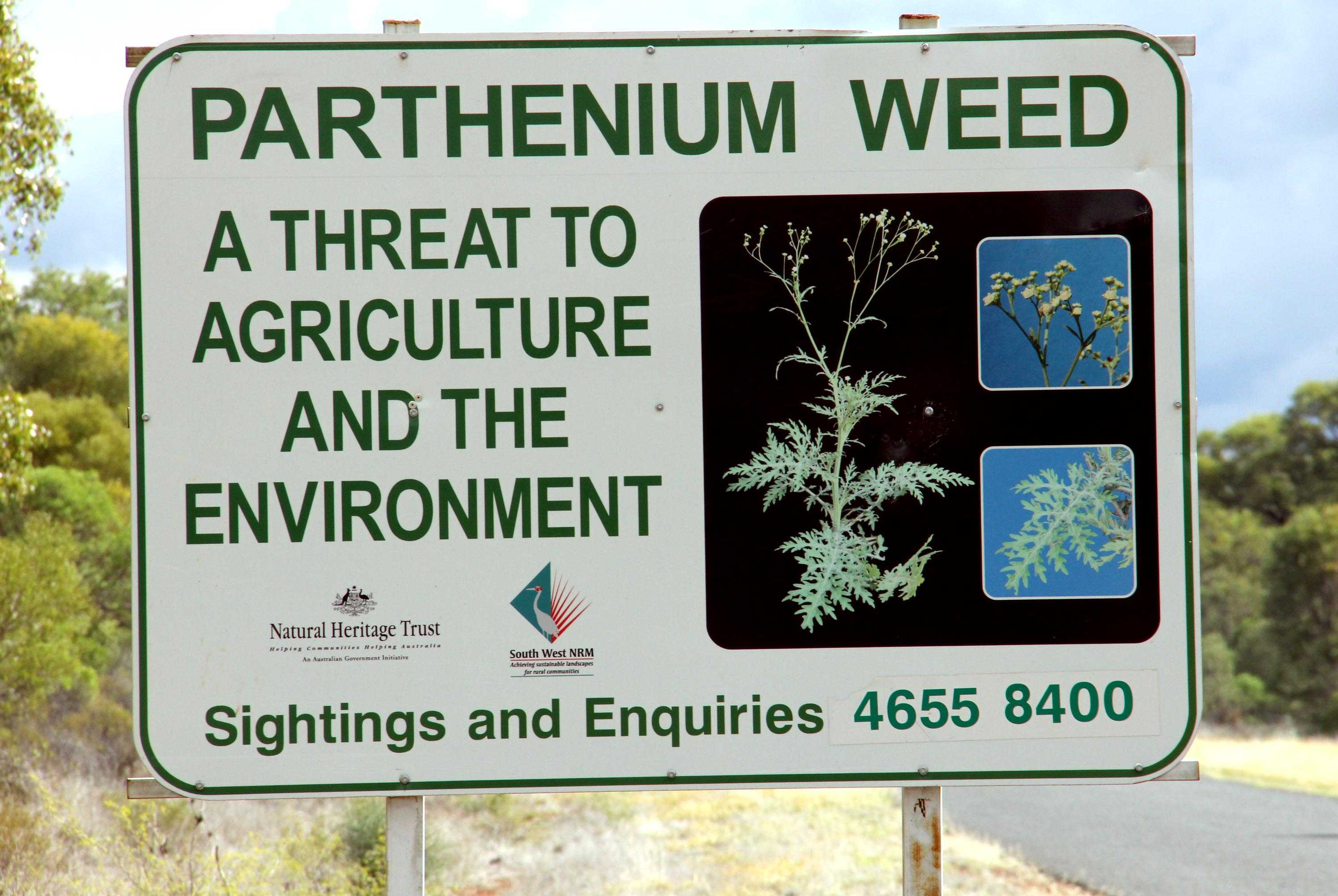 Farmers spending up on pests and weeds: survey - ABC News