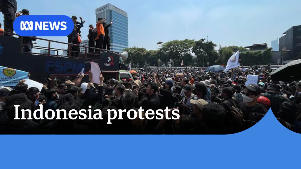 Managing Director David Anderson to step down from role - ABC News