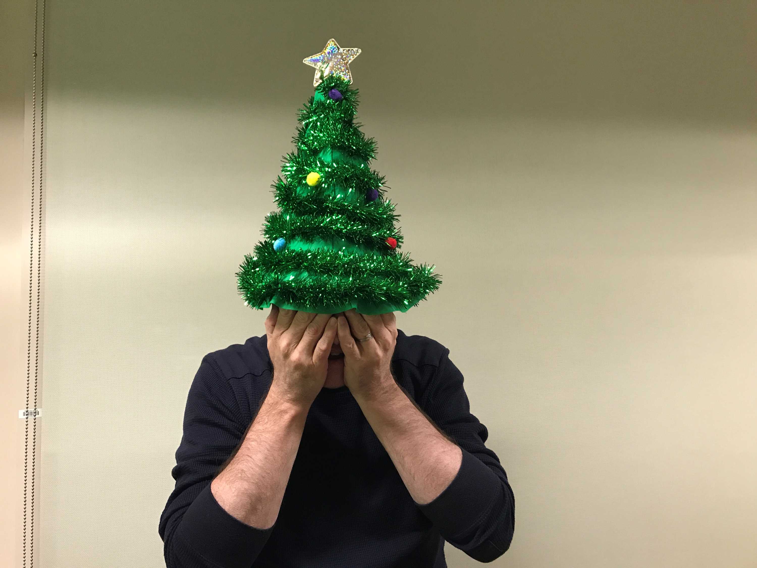 ACCC warns online fraud rife in lead-up to Christmas, flagging common scams to watch out for ...