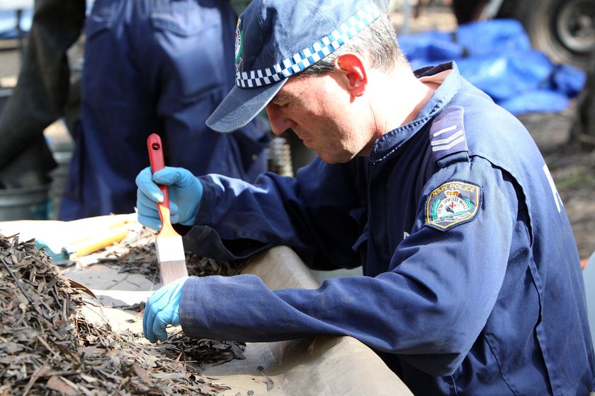 Into the Forest - Part 1 | Ivan Milat - ABC News