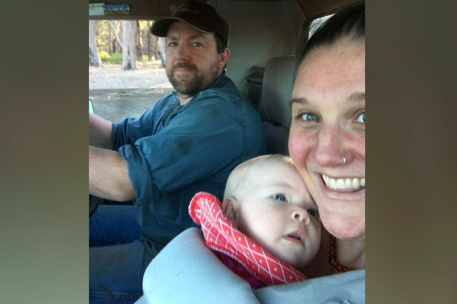 Vegetarian, left-wing sheep farmer urges rethink on live export ban ...