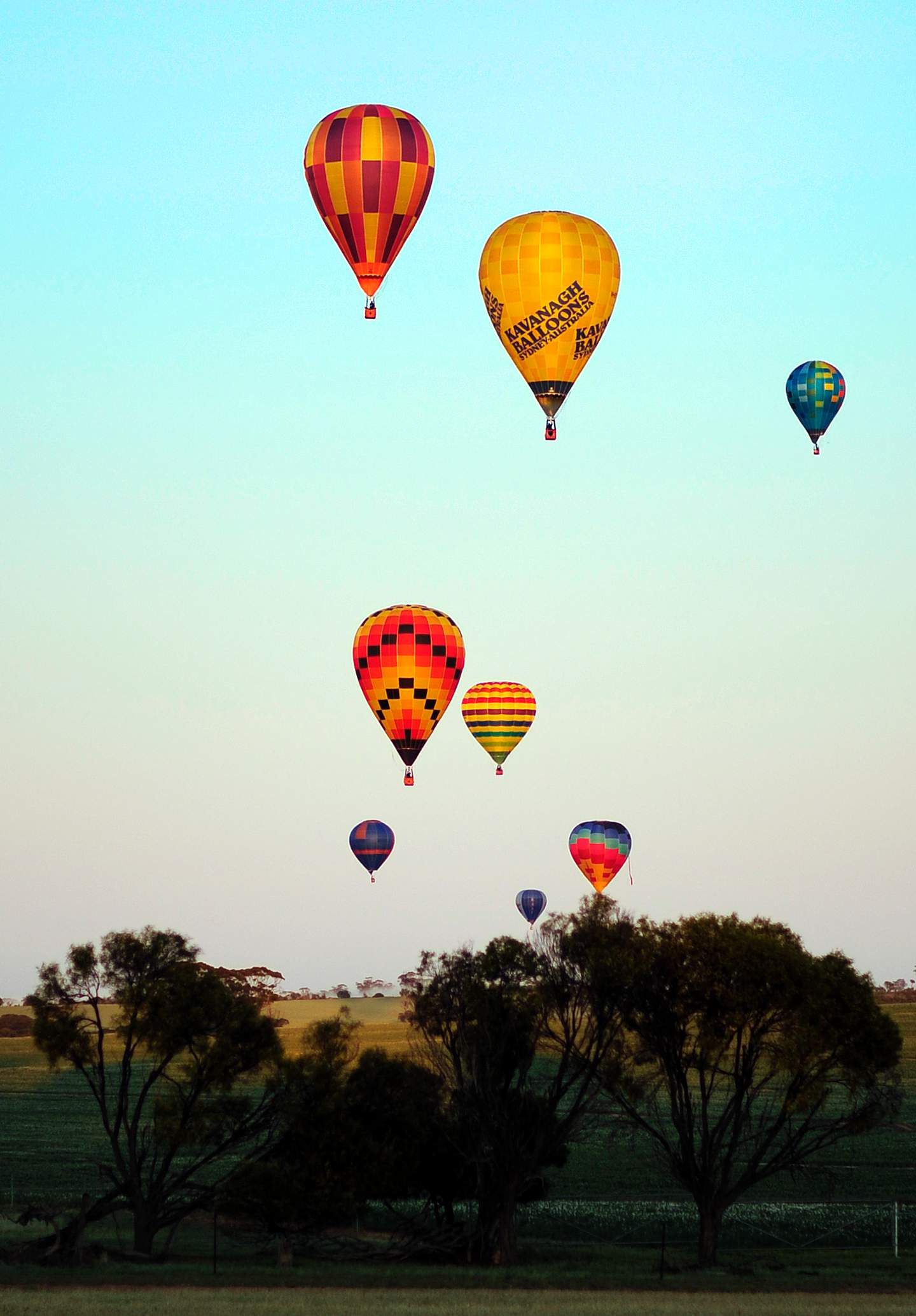 Hot air balloons still charm and captivate after all this time - ABC listen