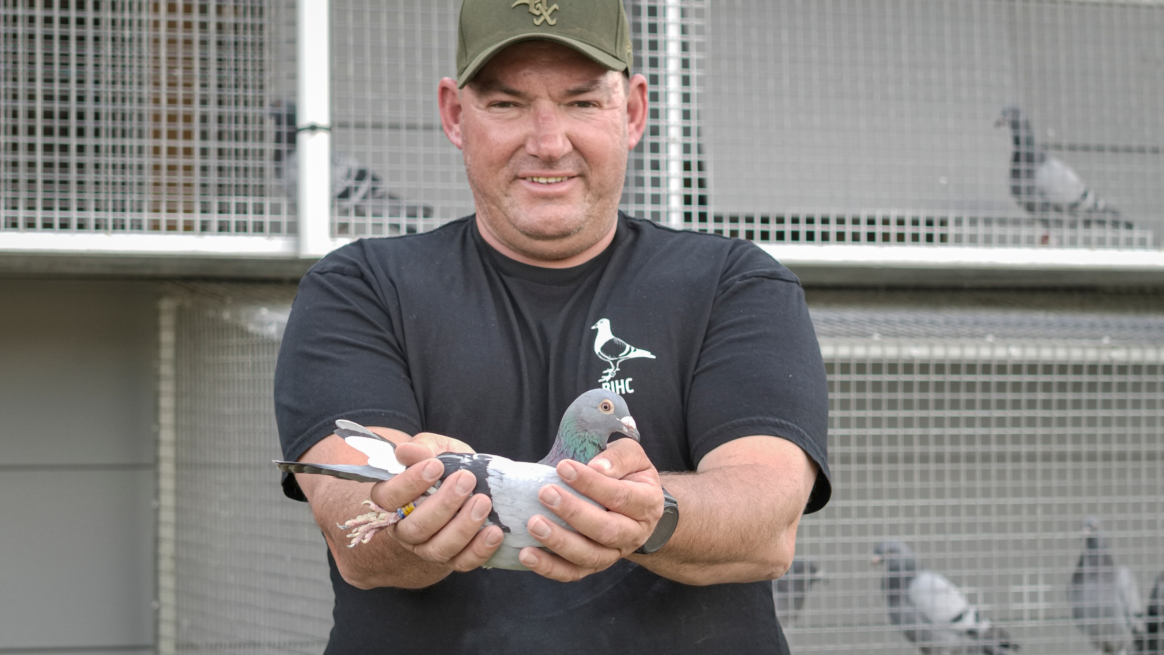 Four fascinating facts about pigeons, and why the 'rats of the sky ...