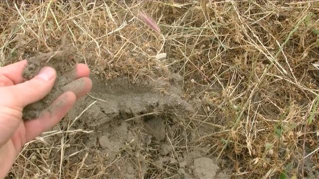 ABC Open: Who loves soil? Tim does! - ABC Education