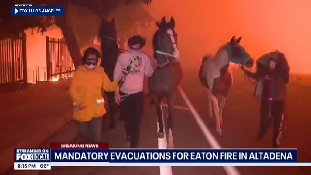 Residents of Altadena seen evacuating with three horses down a burning ...