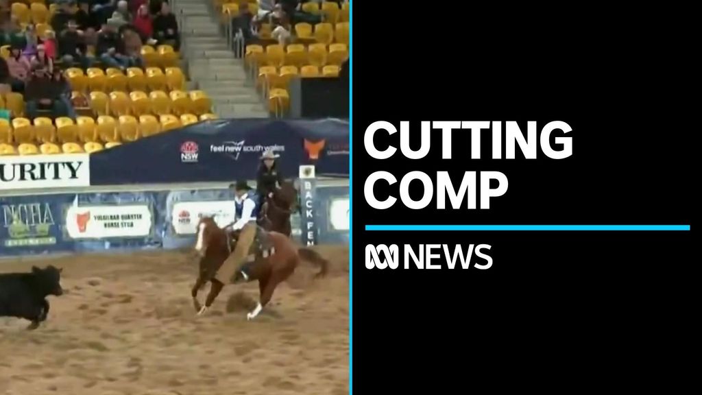 Equestrian - Topic - ABC News