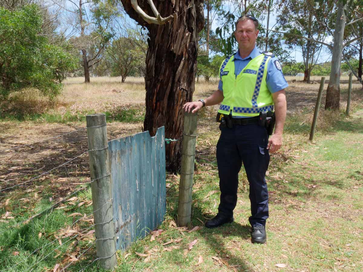 Vicious, blood-spitting alpaca attack had WA women fearing for their ...