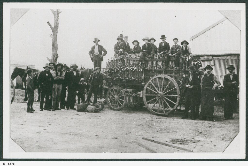 Canned rabbit, once a dinnertime delicacy, now consigned to the burrows ...