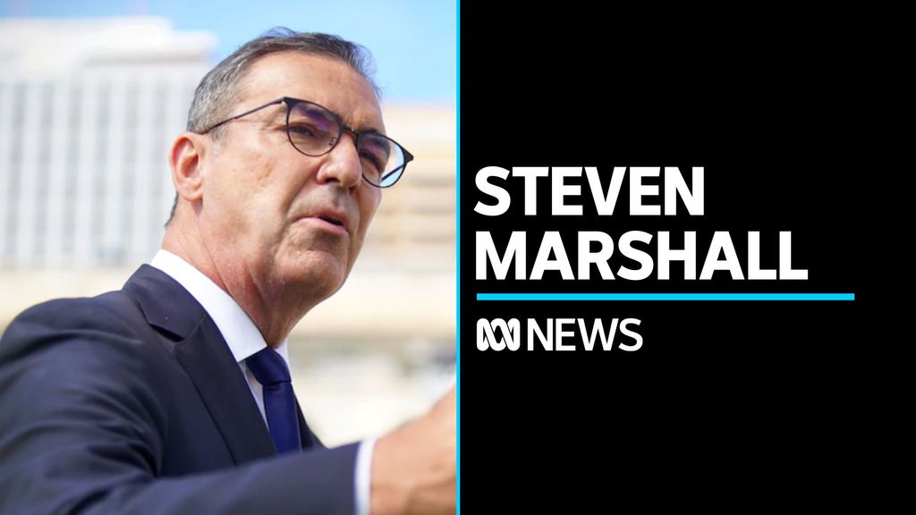 Fmr SA premier Steven Marshall to quit state parliament - ABC News