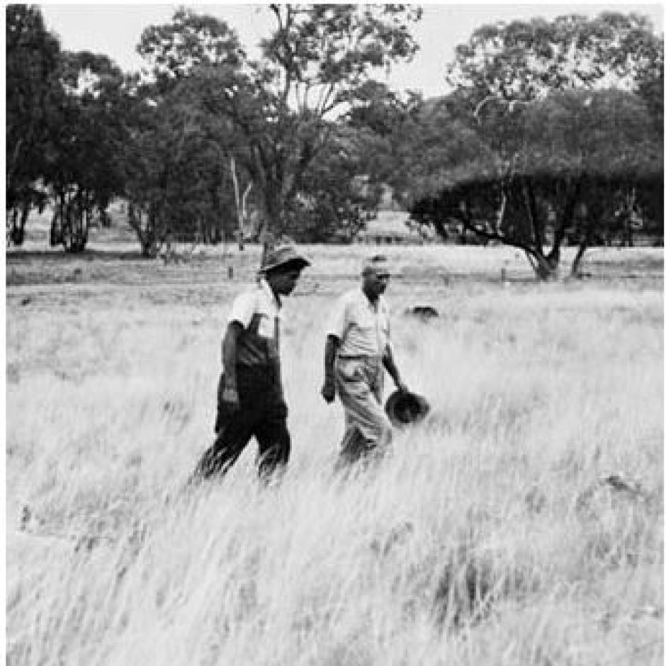 'Tracker' Riley's great-great nephew revisits history with stage ...