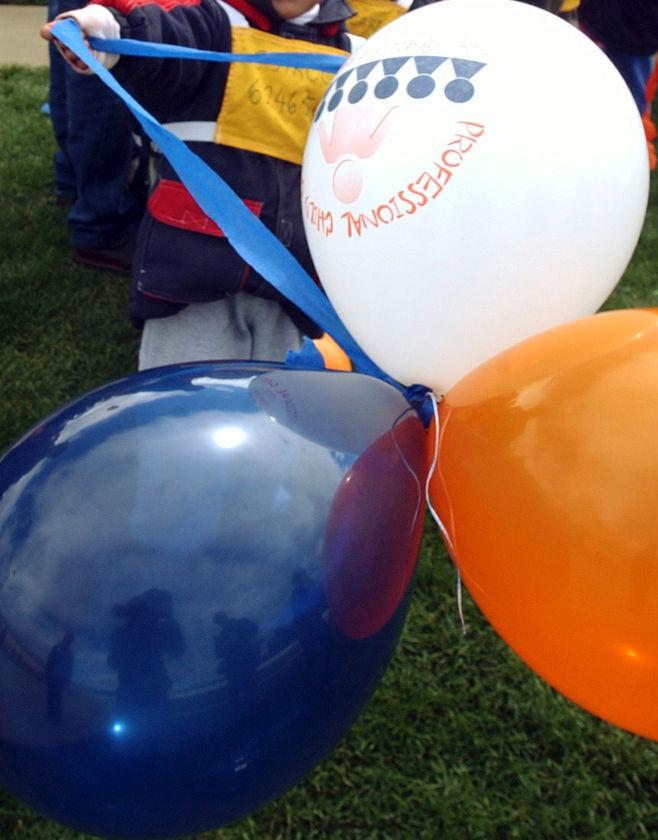 Balloons killing seabirds - ABC listen