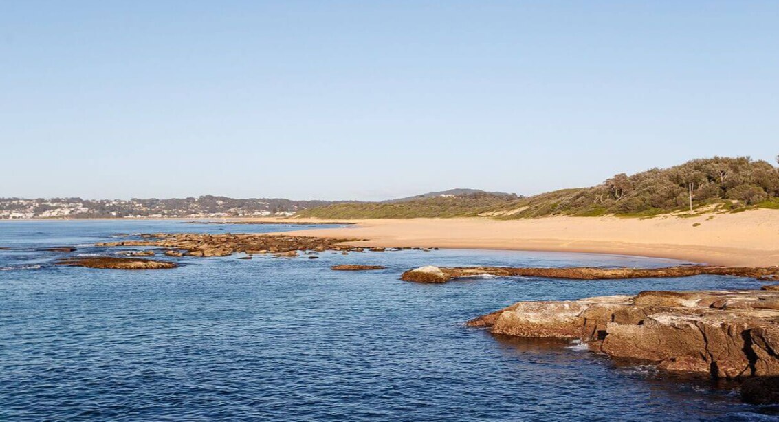 Central Coast surfer Josh Roden saves former Liberal deputy leader ...