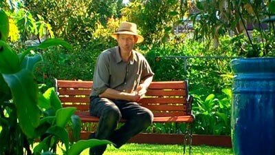 Formal Native Borders - Gardening Australia