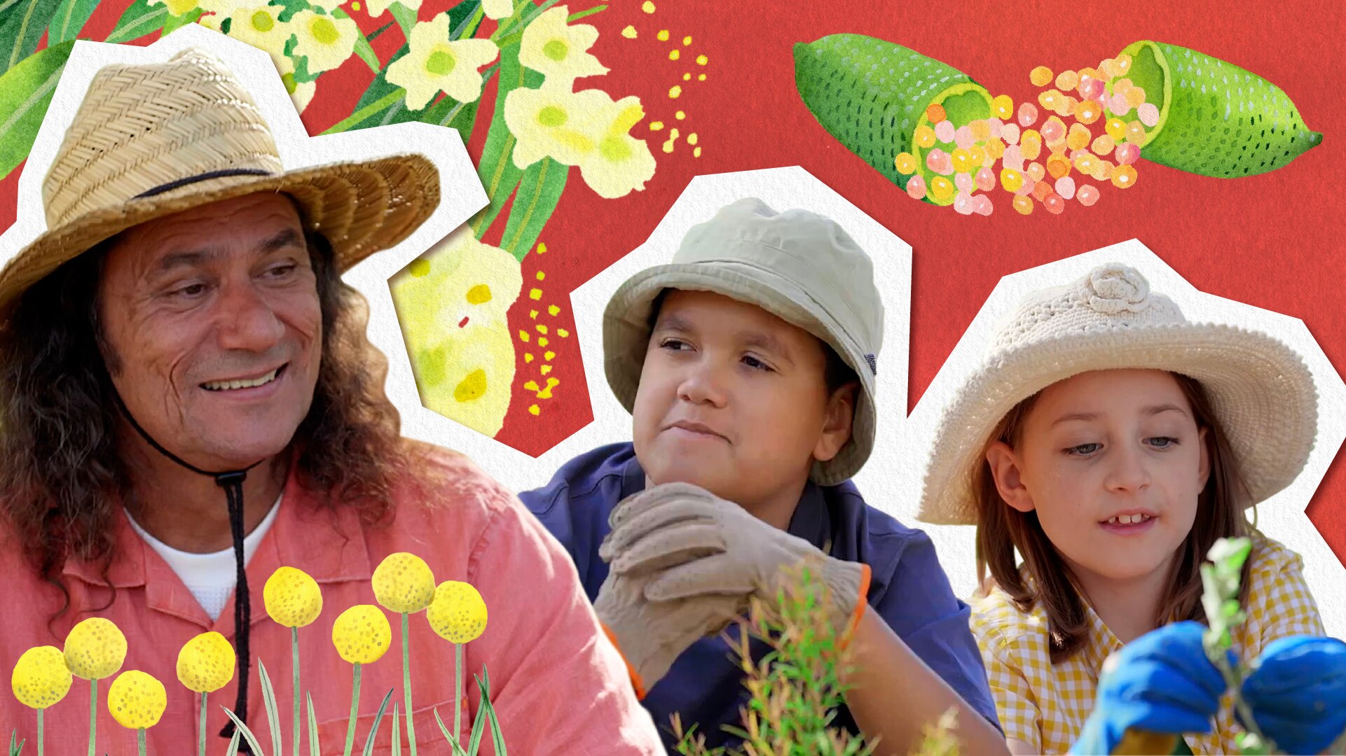 NAIDOC Week resources for early childhood - ABC Kids