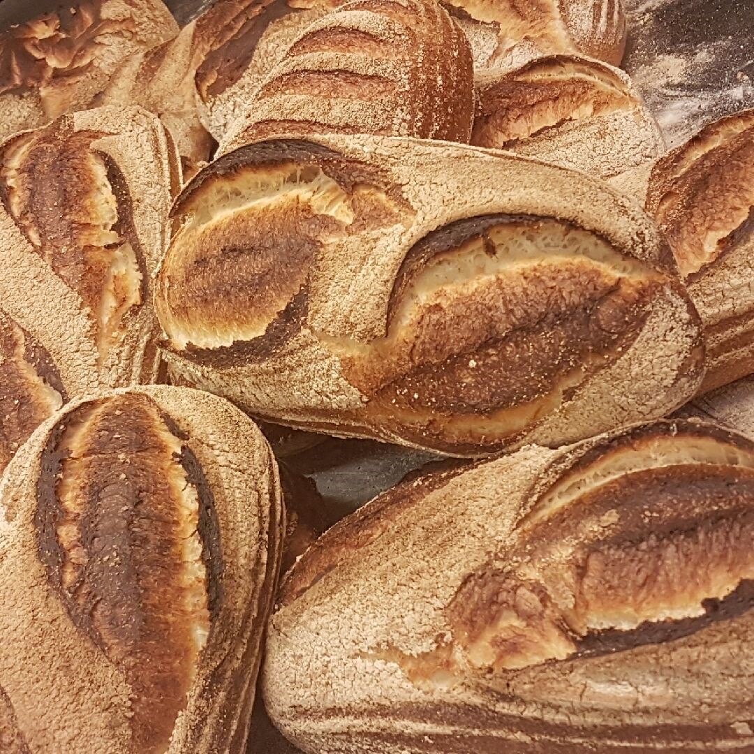 How Monday's Expert earns a crust - ABC listen