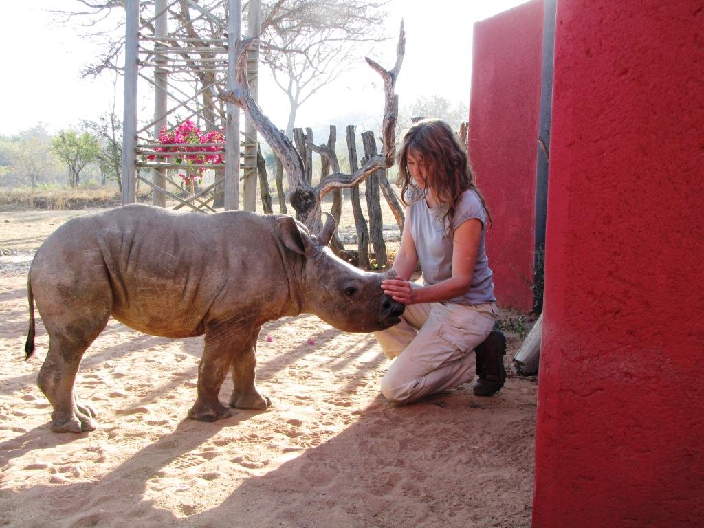 Handball: Bec Donaldson - ABC listen