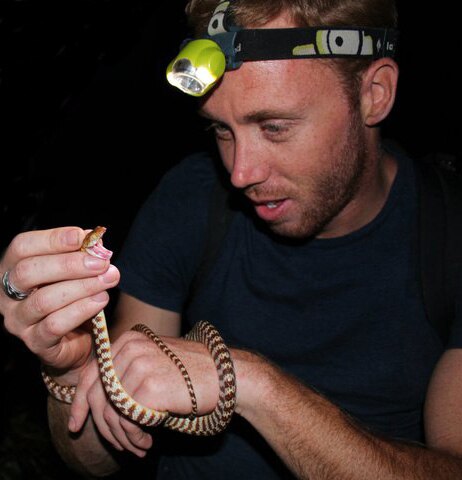 'Kimberley Ark' gene bank to save species from toad plague - ABC News
