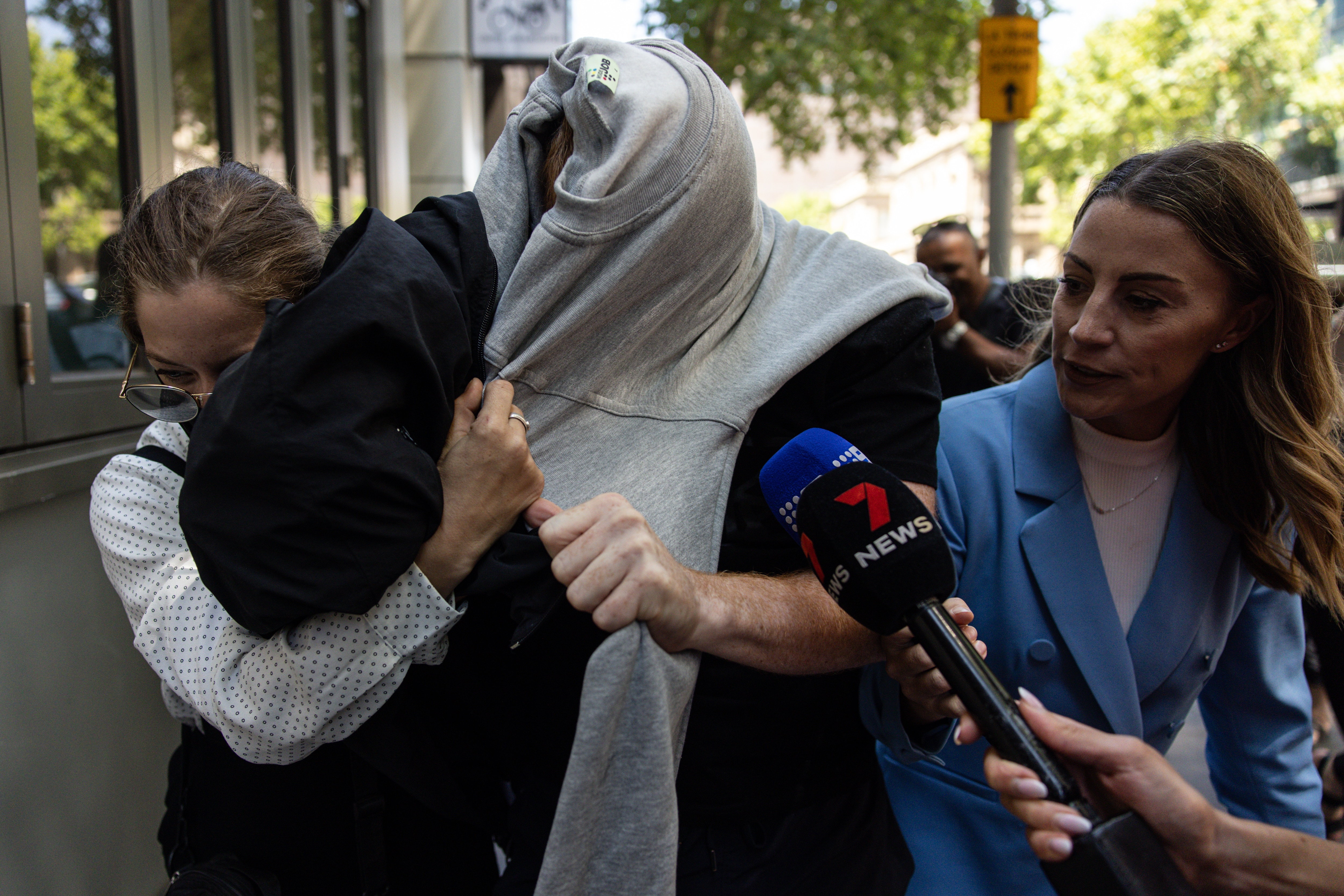 Alleged 'Pam the Bird' creator may have to wait 18 months behind bars ...