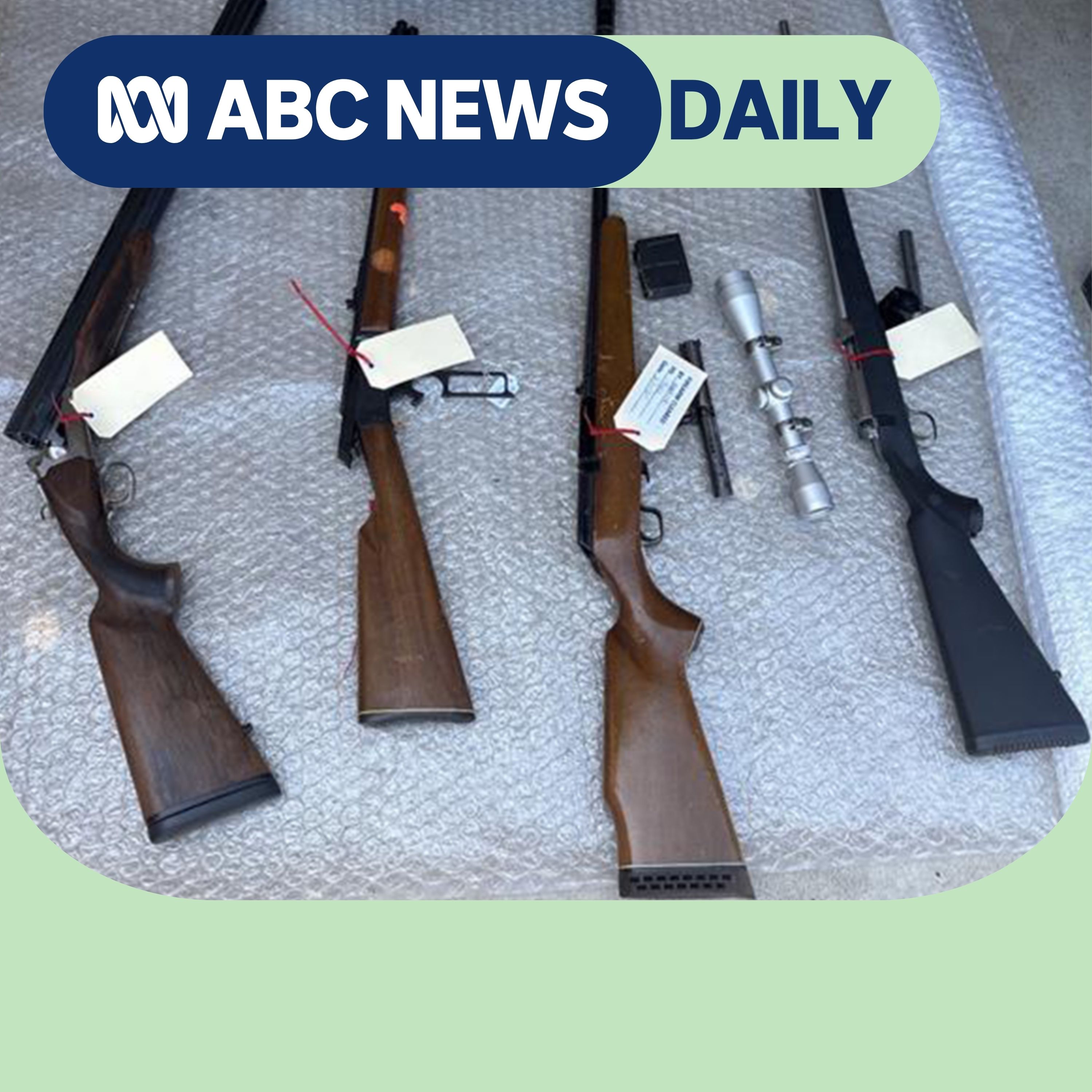 How Dezi Freeman sparked a sovereign citizen gun ban - ABC listen
