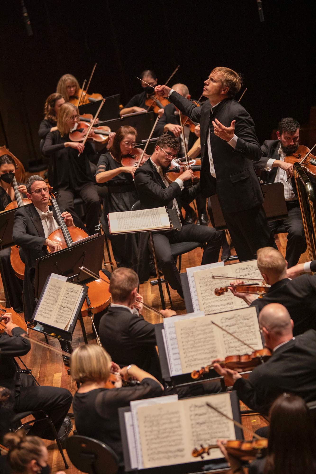 MSO: Vasily Petrenko conducts Elgar - ABC listen