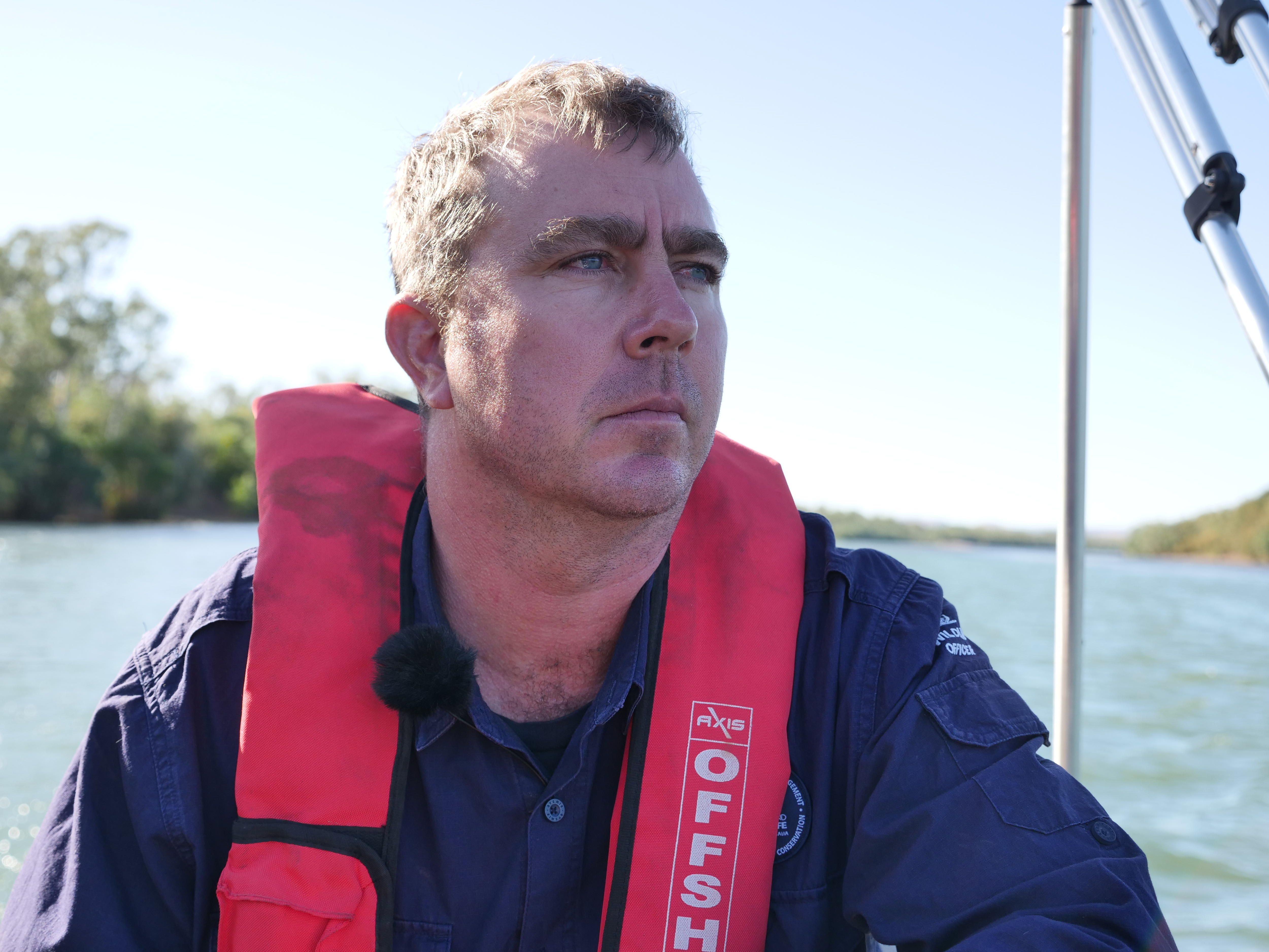 Saltwater crocodile numbers surge in the Kimberley's Ord River — and ...