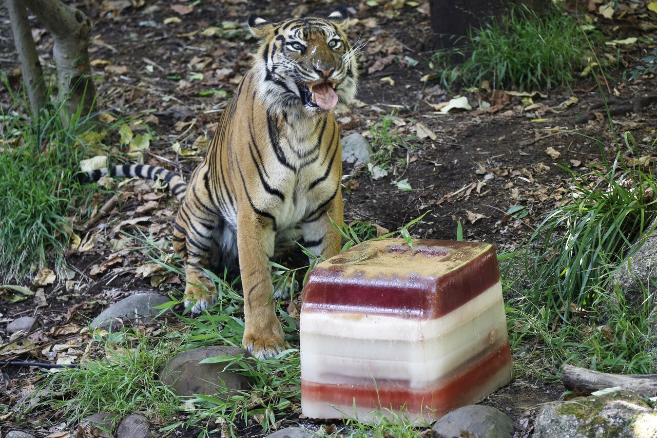 Nightlife with Philip Clark and Suzanne Hill - ABC listen