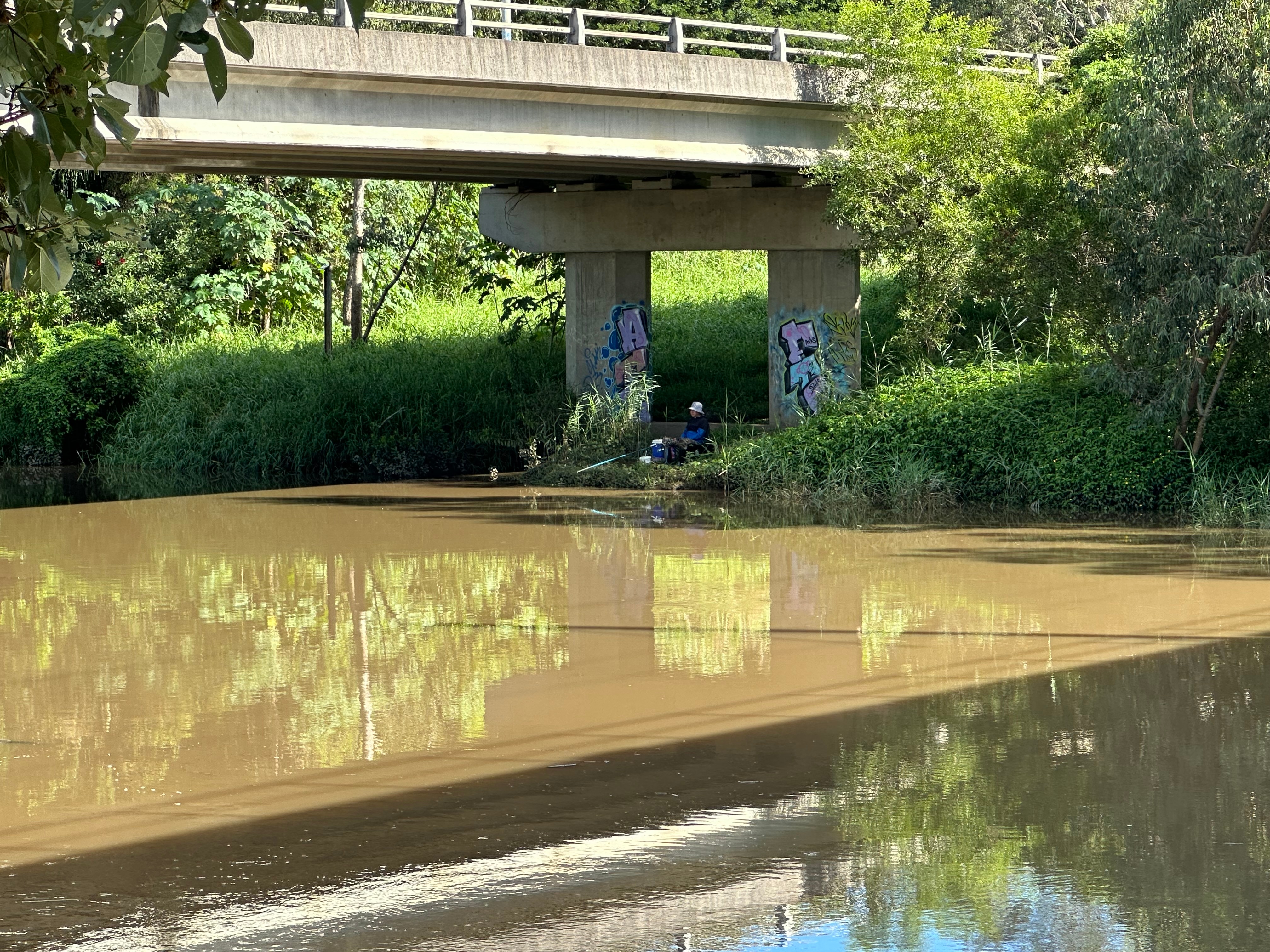 Gold Coast City Council under investigation after major sewage spill ...