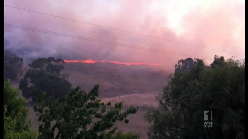 Teenager charged over Adelaide bushfire - ABC News