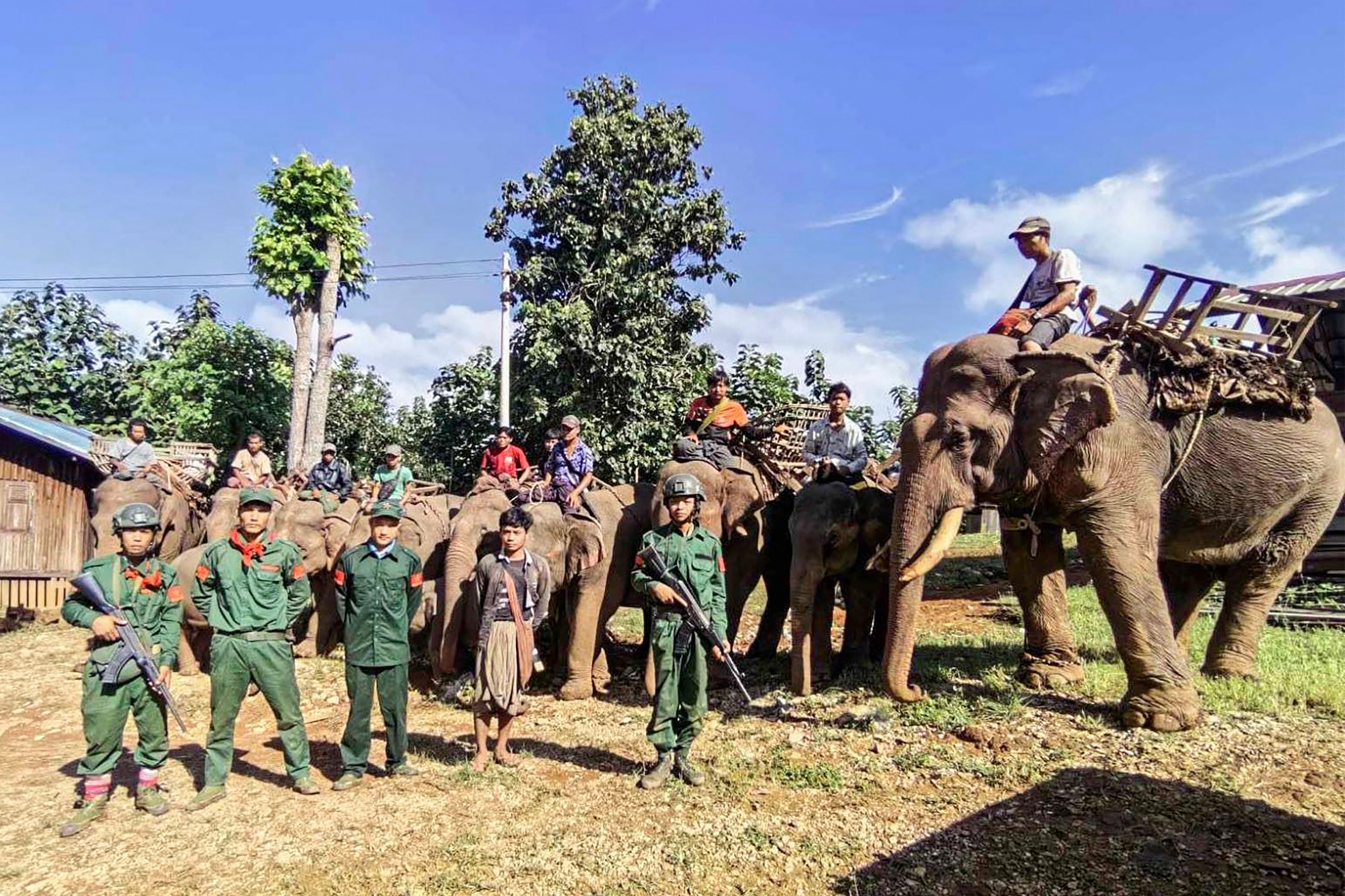 Communist rebels take in 138 of Myanmar's elephants amid fighting near ...