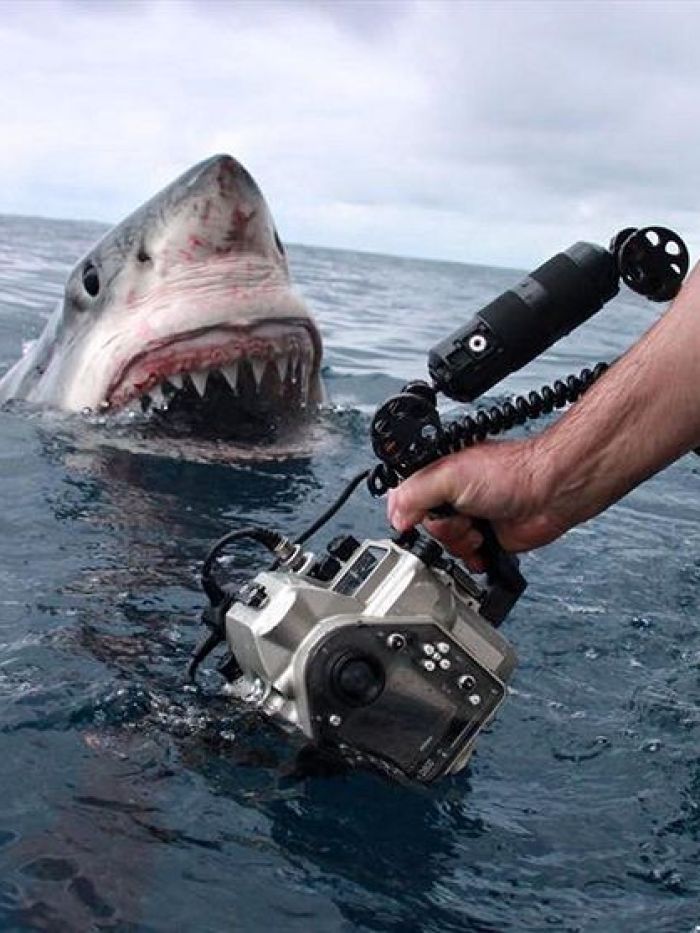 WA researchers say electric shield could be key to protecting humans ...