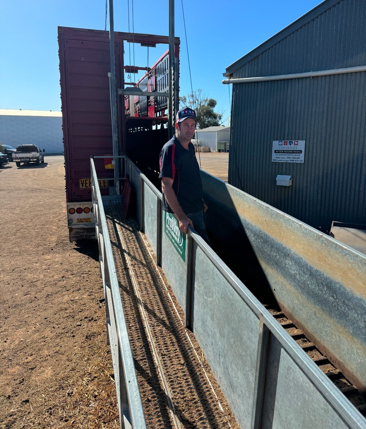 Crap Loading Ramps of Australia page highlights dangers for livestock ...
