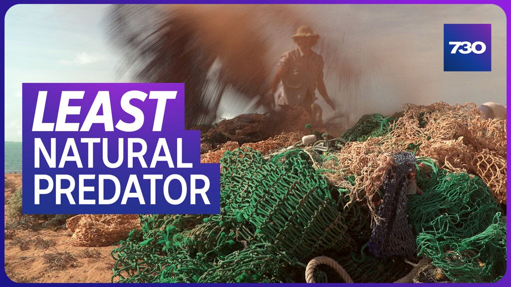 Marinus Link undersea power cable project explained - ABC News