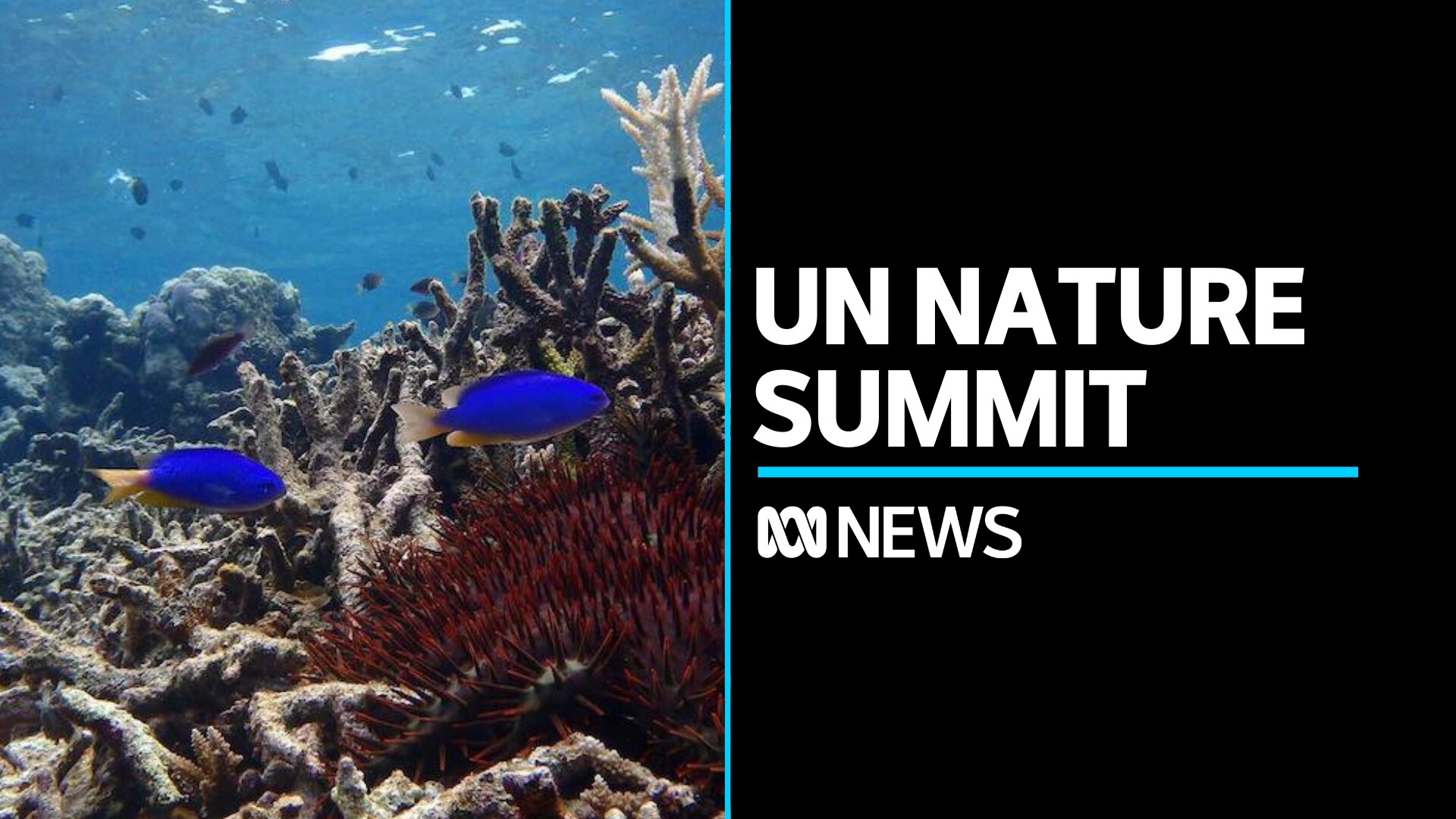 Australia - Location - ABC News