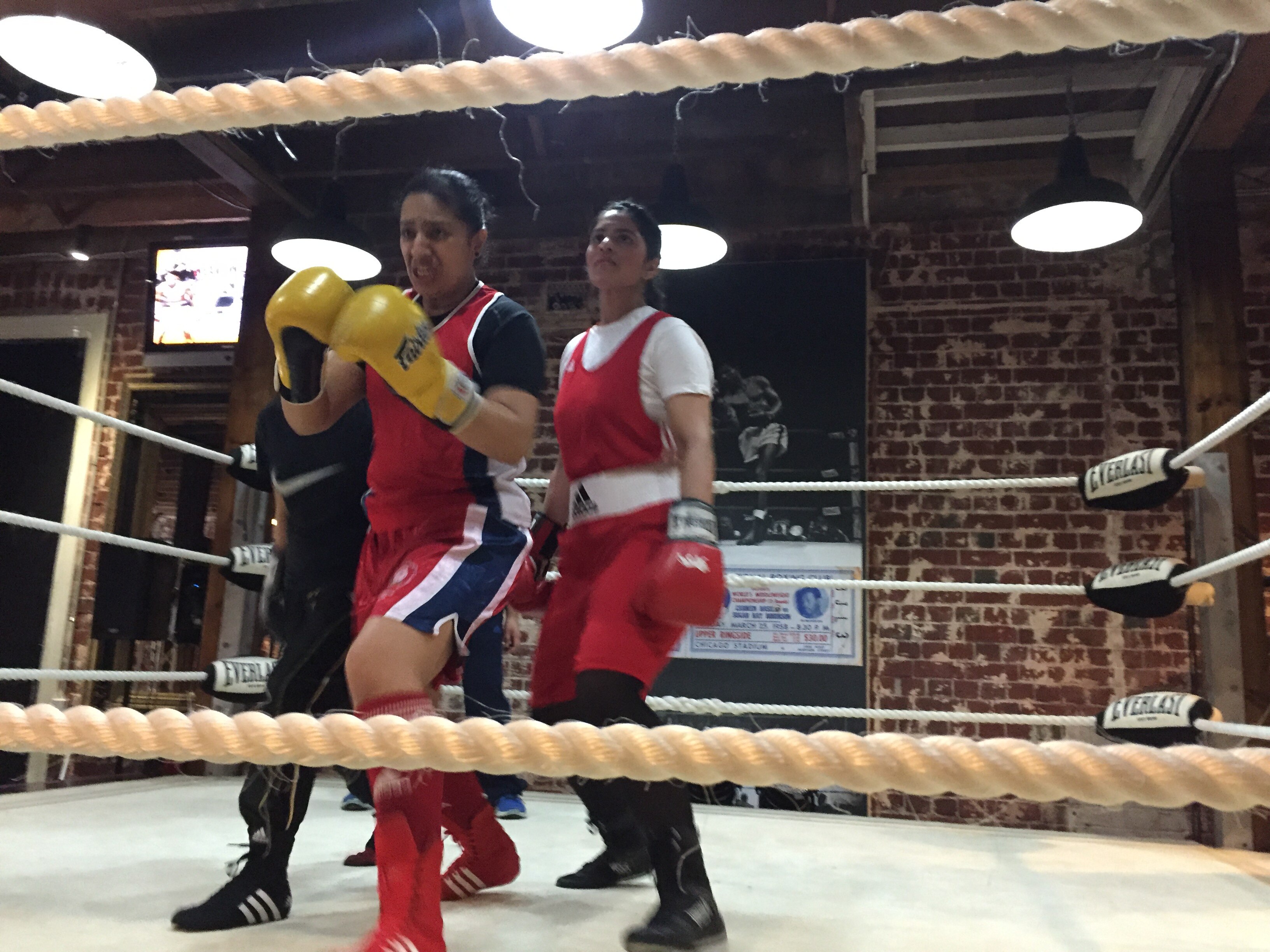 Play about Muslim female boxers, No Guts, No Heart, No Glory, debuts in ...