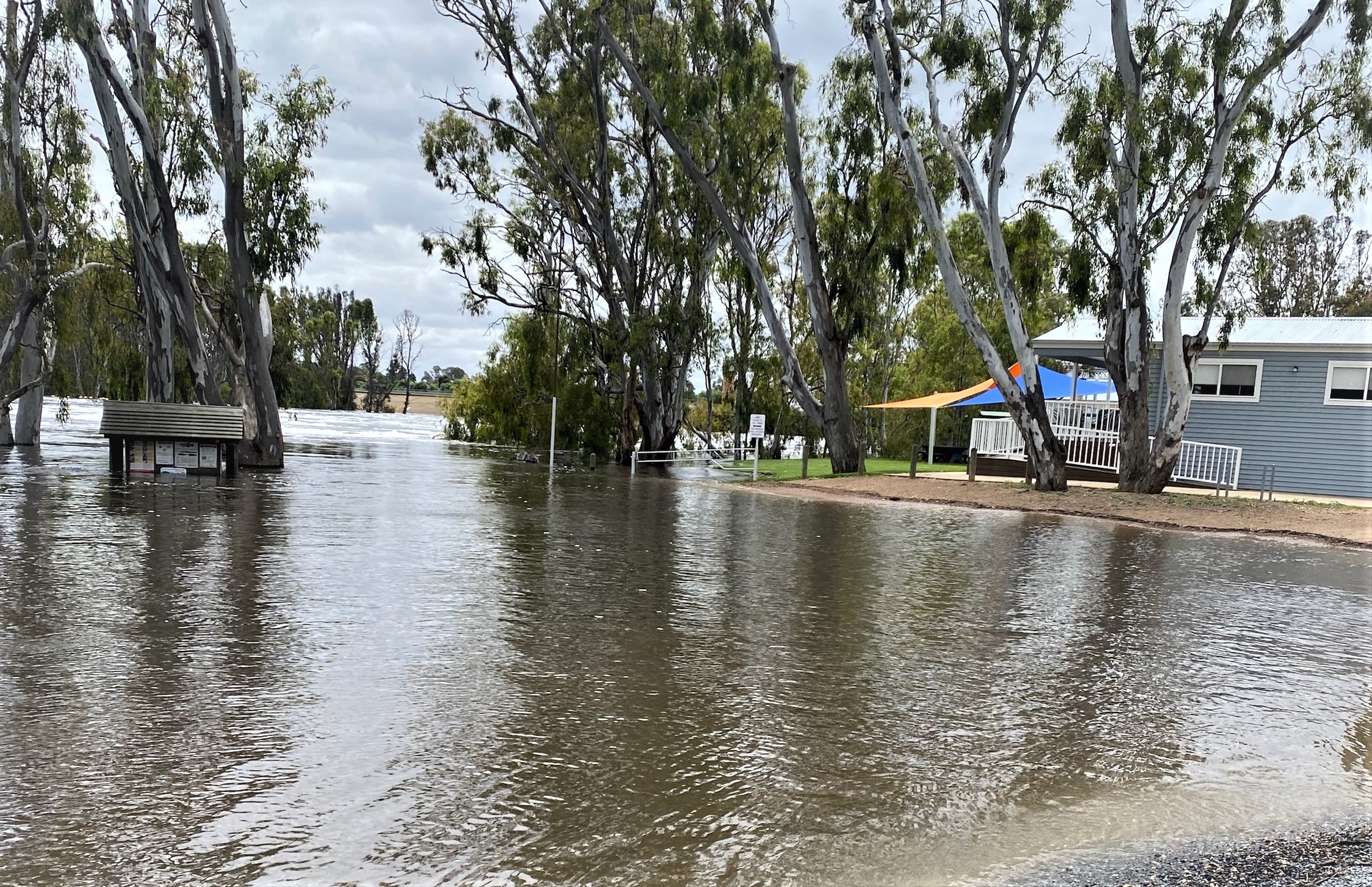 Murray River region floods cause tourism losses of about $130 million ...