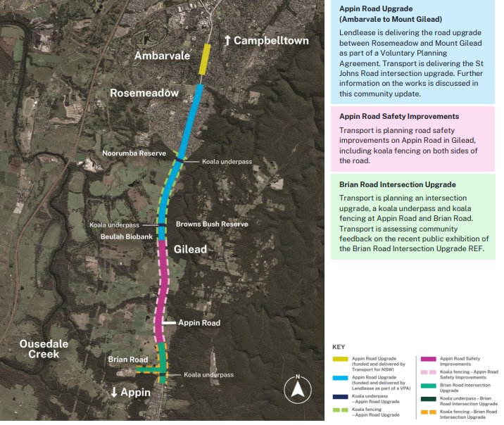 Koala corridors part of the plan as Appin Road upgrade linking Sydney ...